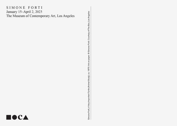 Simone Forti: Postcard (Turtle) – MOCA Store